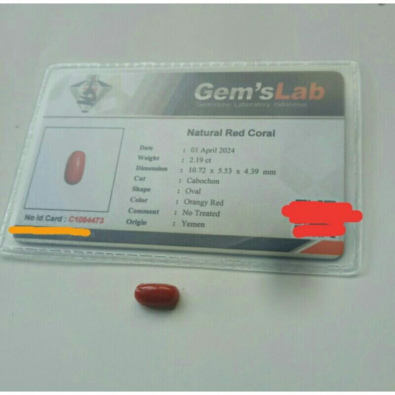 Jual Batu marjan laut merah asli corralium rubrum sejenis dg marjan ...
