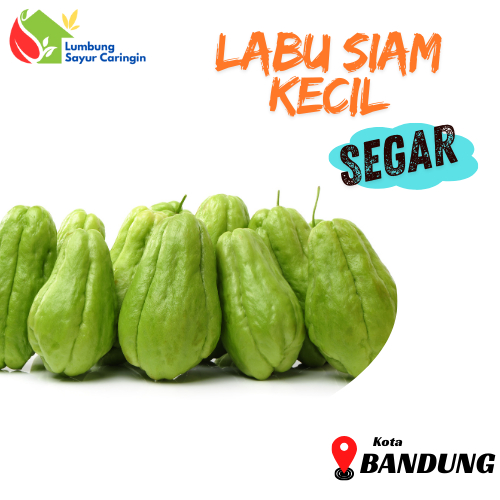 Jual Labu Siam Kecil / Waluh kecil / Waluh Lalap Segar Bandung | Shopee ...
