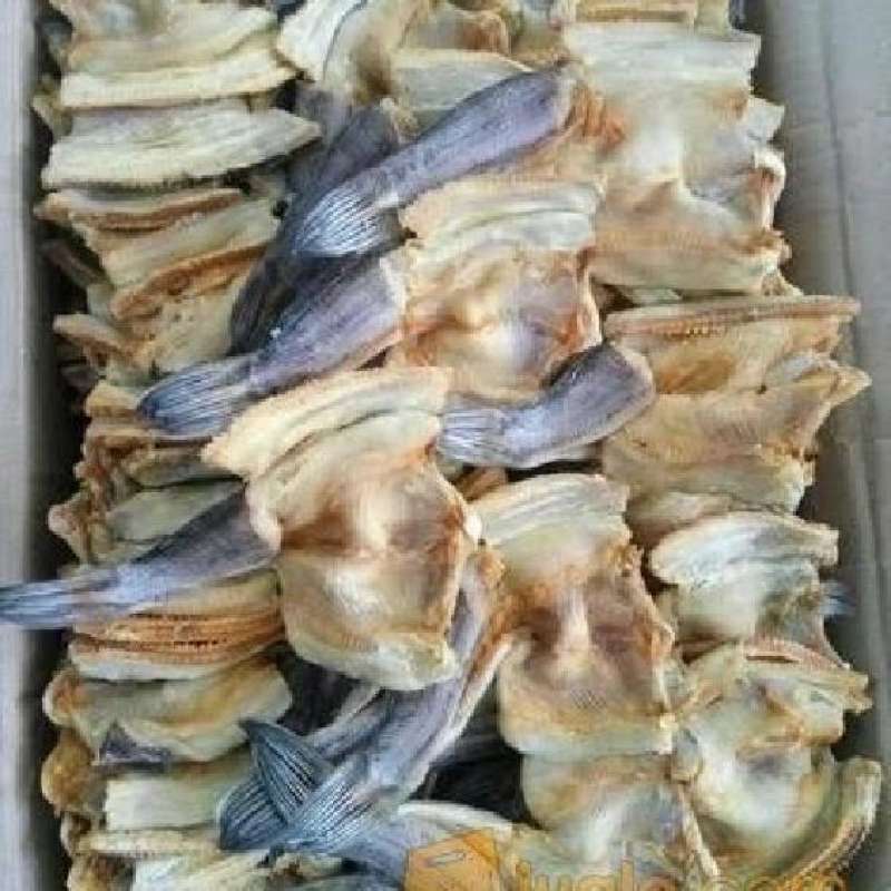 Jual ikan asin gabus super murah 500 Gram | Shopee Indonesia