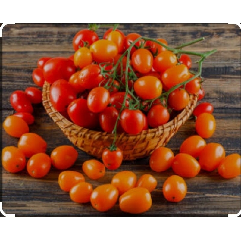 Jual Tanaman Tomat Cherry, Tomat Cherry Rampai (Siap Tanam) | Shopee ...