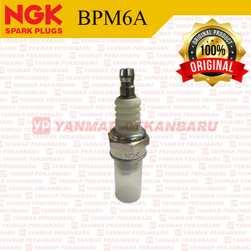 Jual Busi BPM6A NGK Original Mesin potong rumput Chainsaw Sprayer 2 tak ...