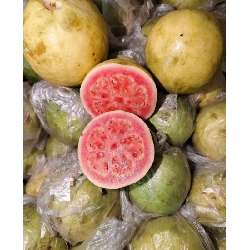 Jual Jambu Biji Merah Jambu DB | Shopee Indonesia