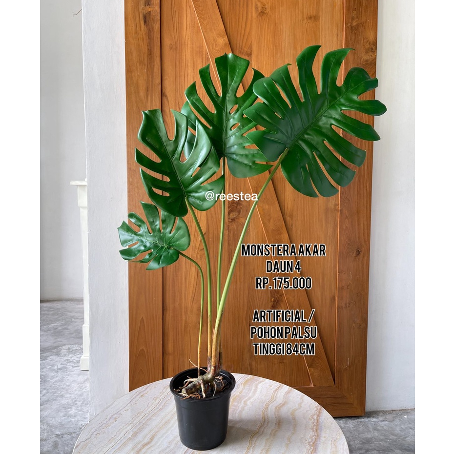 Jual Pohon Akar Monstera daun 4/ Pohon Artificial/Pohon Hias palsu ...