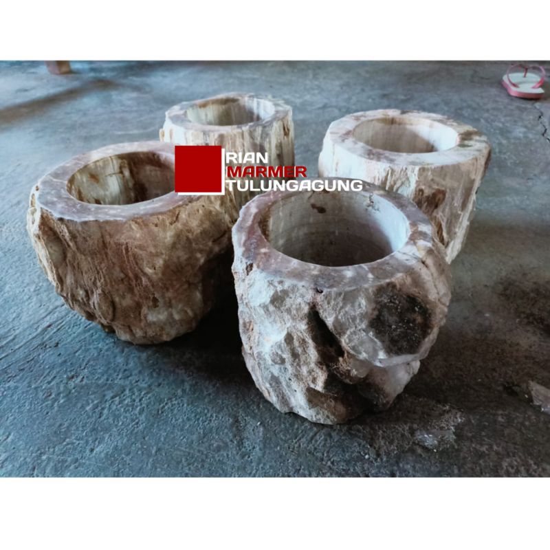Jual Pot Tanaman Batu Fosil Kayu Natural Diameter 18Cm | Shopee Indonesia