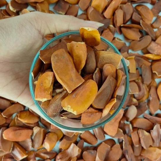 Jual MAHONI KULIT PREMIUM KEMASAN 100 GRAM | BUAH MAHONI | Shopee Indonesia