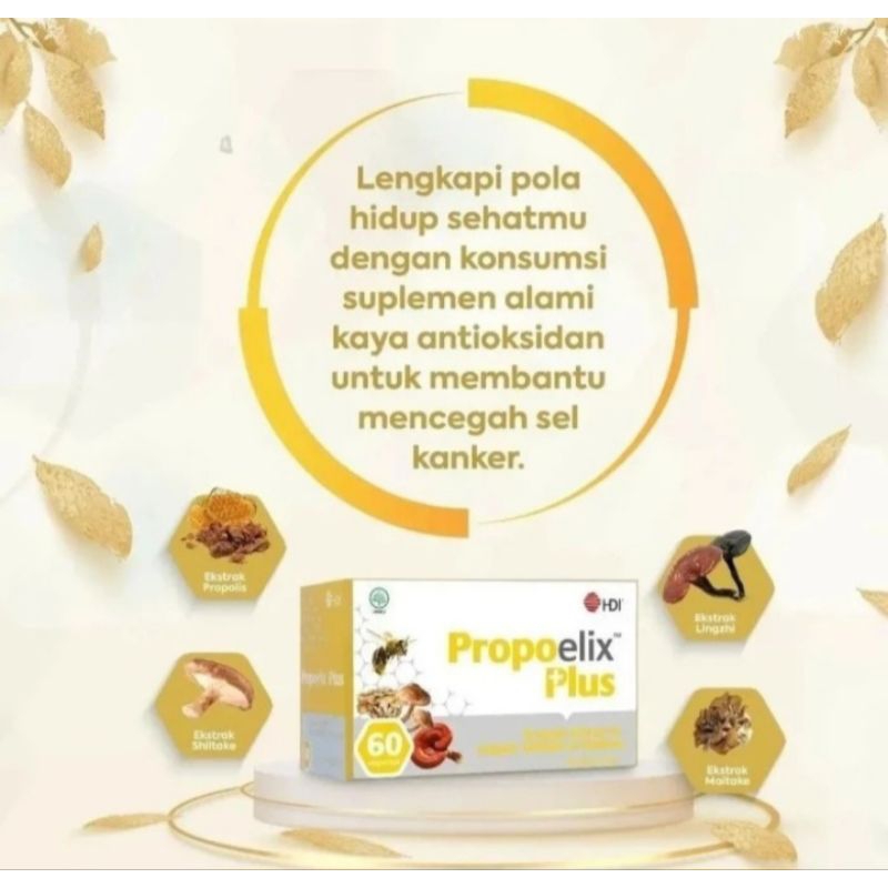 Jual propoelix plus 60 kapsul 100% ori | Shopee Indonesia
