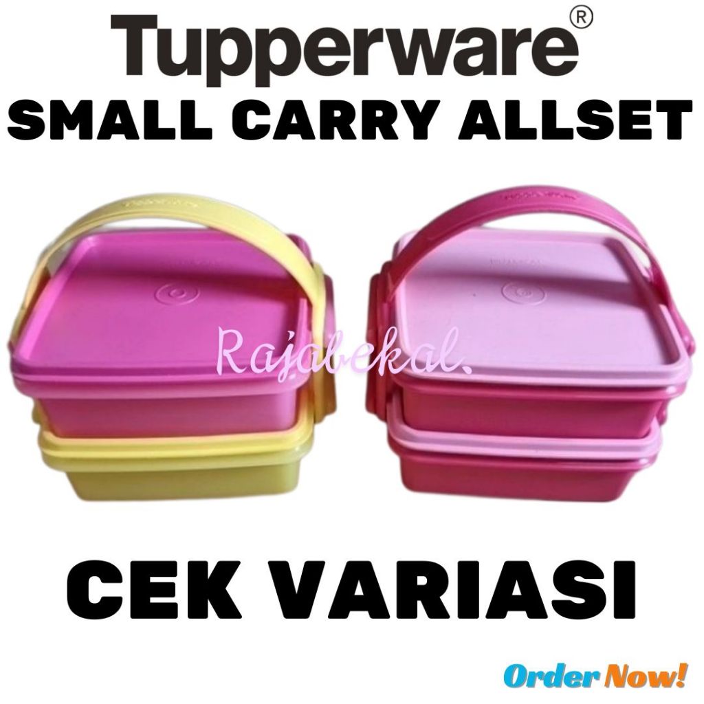 Jual PROMO Tupperware Small Carry All Set | Shopee Indonesia