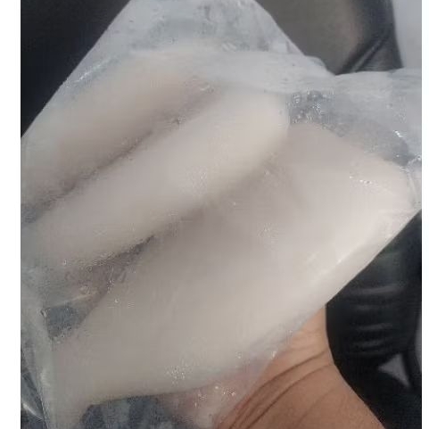 Jual Cumi tube kupas import 1 kg 2-3 pcs | Shopee Indonesia