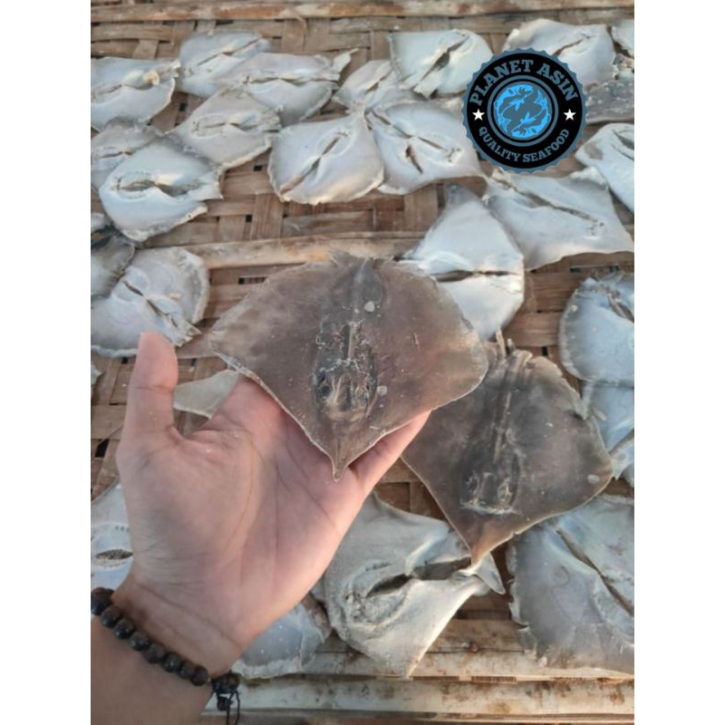 Jual Planet_Asin Lalay/ikan asin empe lalay/empe pari | Shopee Indonesia