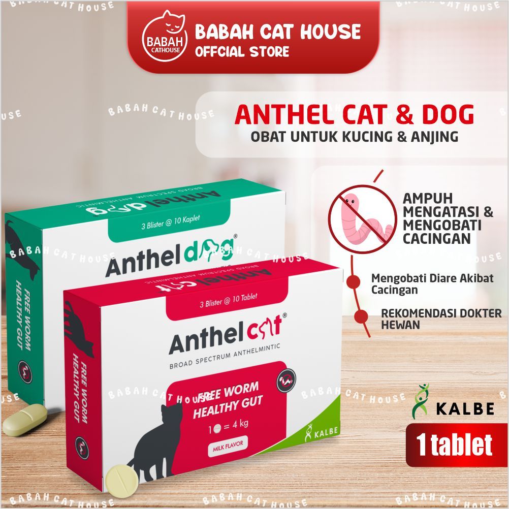 Jual ANTHEL Obat Cacing Kucing Anjing Cat Dog Tablet Murah Ampuh Untuk ...