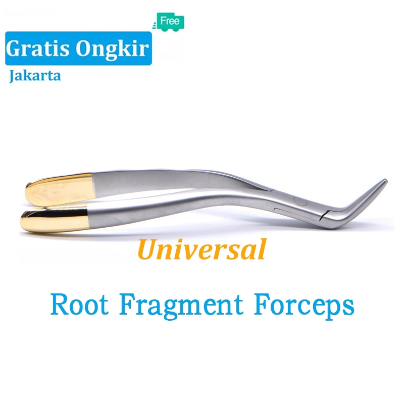 Jual Dental Root Fragment Forceps Stainless Steel Teeth Extraction ...
