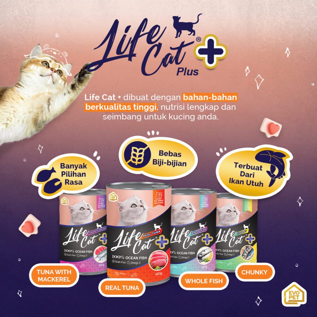 Jual Life Cat PLUS Wet Cat Food 400gr - Makanan Kucing Basah Kaleng ...