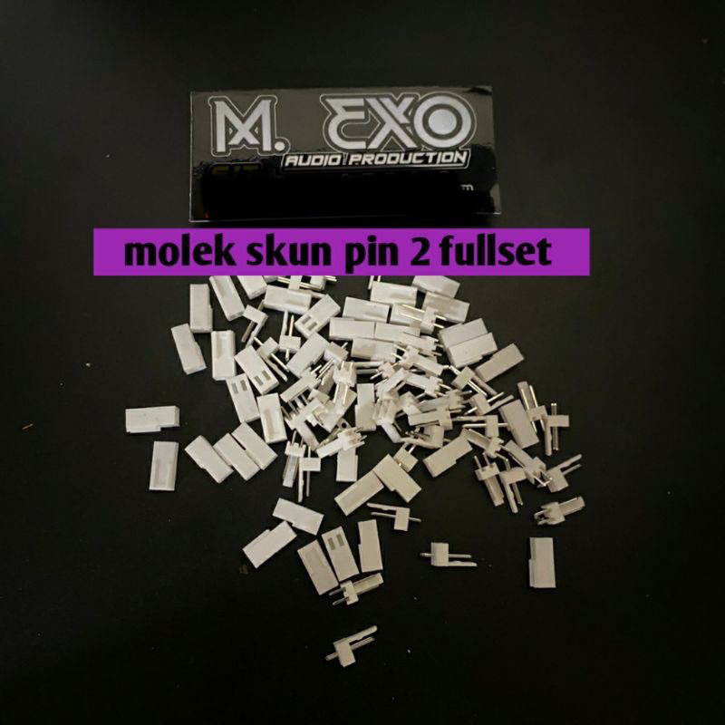 Jual MOLEK 2pin / SOKET MOLEK 2PIN 2A/Y ORIGINAL | Shopee Indonesia