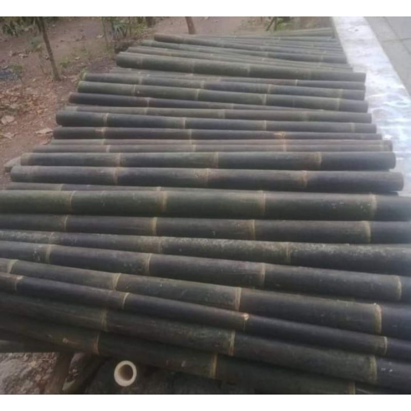 Jual bambu hitam gelondongan | Shopee Indonesia