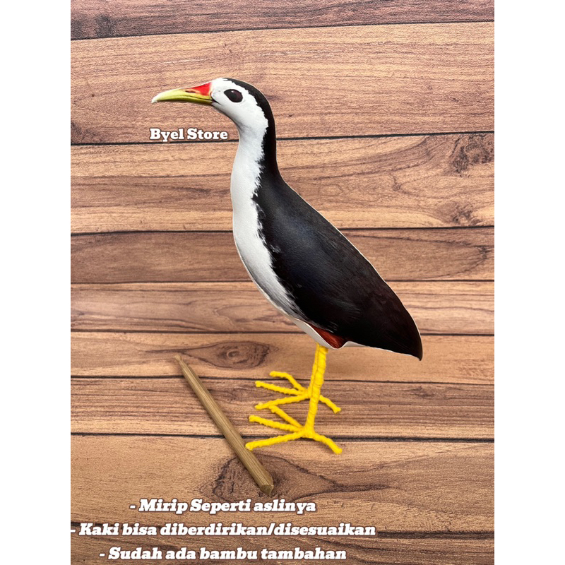 Jual Patung Jontrot Burung Ruakruak Kareo Padi - Ruak Ruak Sawah ...