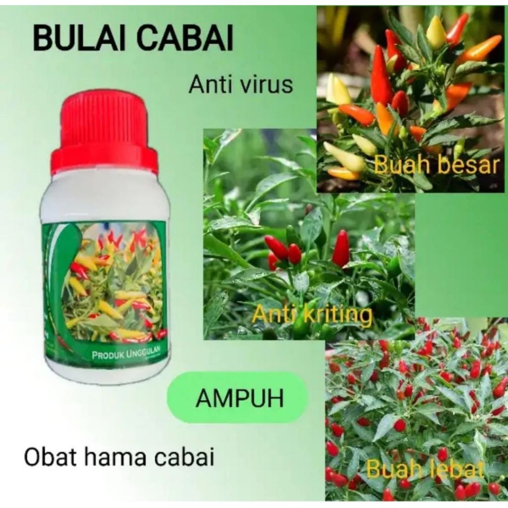 Jual Pupuk Obat Anti Keriting Dan Nutrisi Untuk Tanaman Cabe 100ml ...