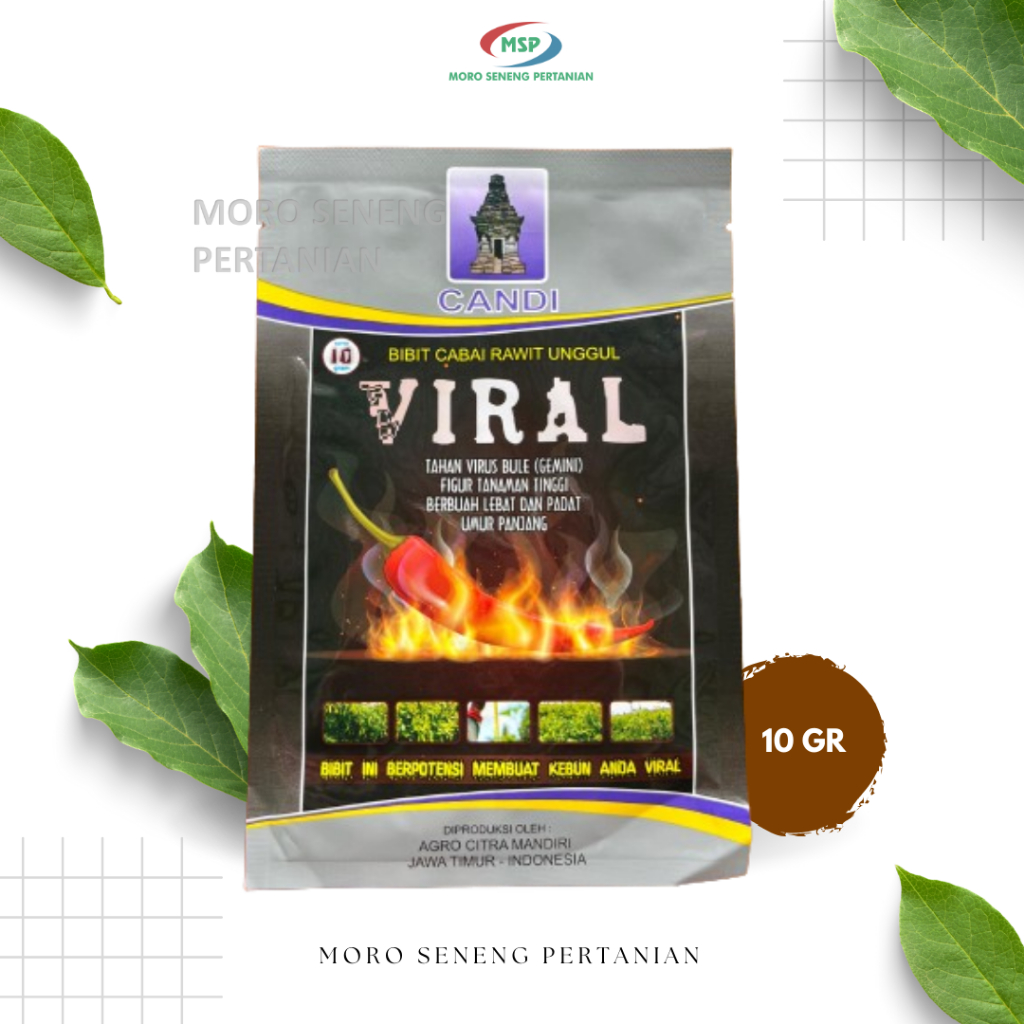 Jual CABE RAWIT VIRAL CAP CANDI 10 GRAM | Shopee Indonesia
