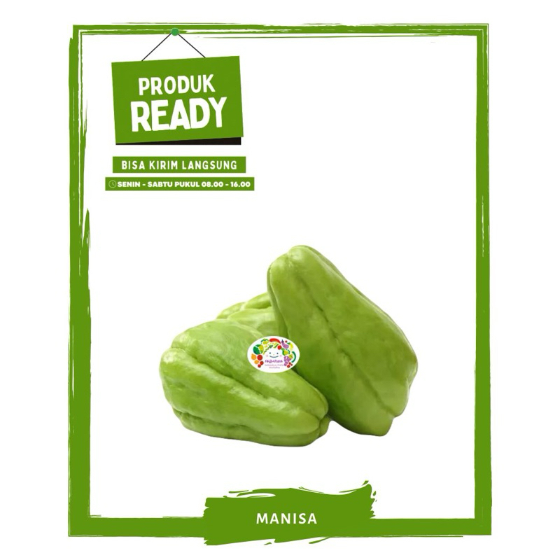 Jual Manisa / Labu Siam / Sayur Sayuran Segar Ready On Mallahrizwa ...