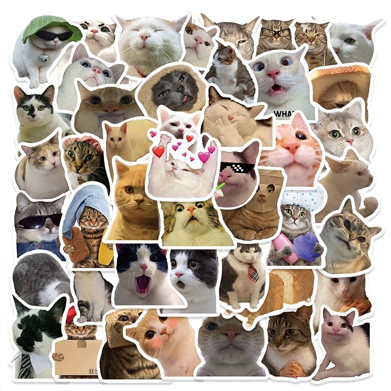 Jual Sticker Kucing Kartun Meme Lucu | Shopee Indonesia