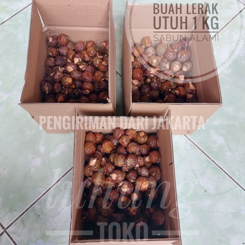 Jual Buah Lerak / Soap Nut / Soap berry 1 kg sabun alami ramah ...