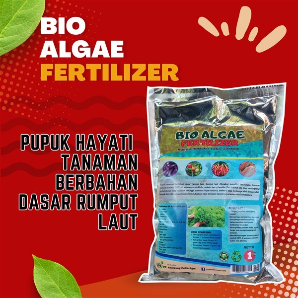Jual Pupuk Pertumbuhan Tanaman dari Rumput Laut - Pupuk Rumput Laut Granul - Bio Algae ...