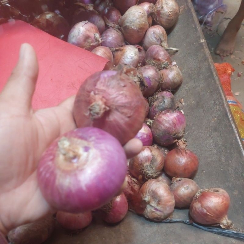 Jual Bawang Merah India 1kg | Shopee Indonesia