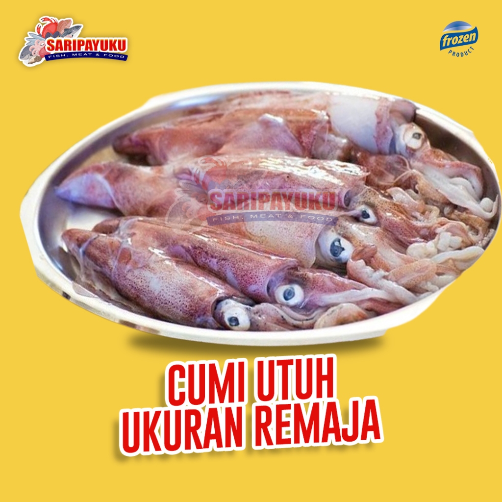 Jual Cumi Segar 500 Gram / Cumi Fresh / Cumi Medium / Cumi Ukuran ...
