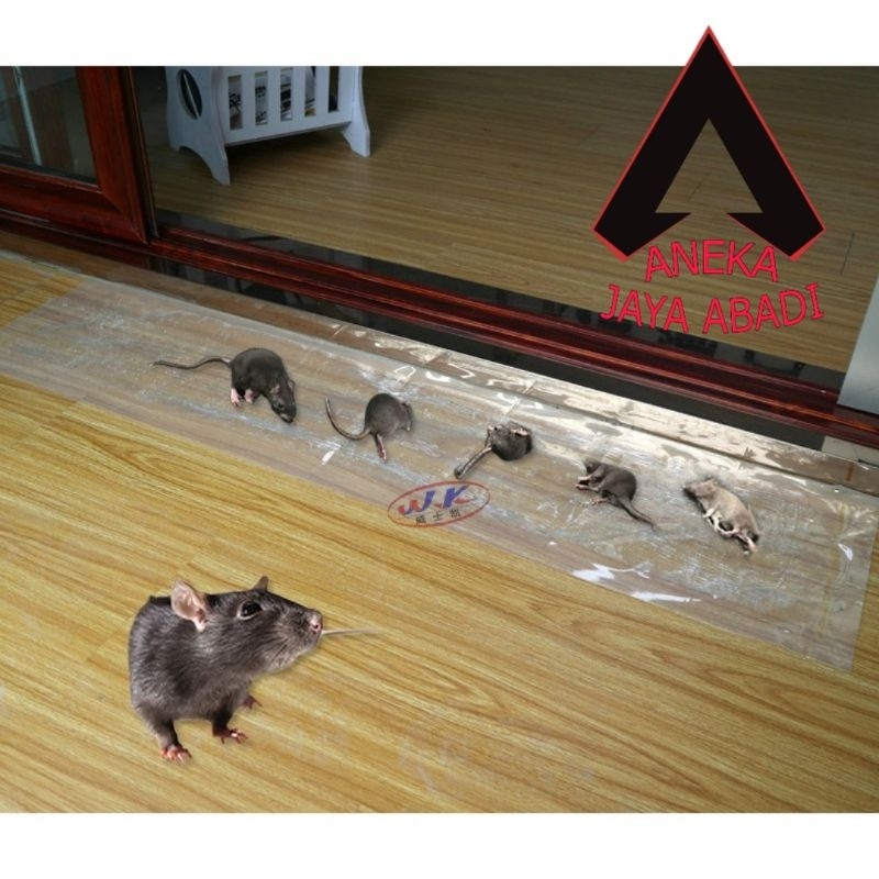 Jual LEM TIKUS BESAR SUPER LENGKET LEM TIKUS PANJANG 1,2 METER ...