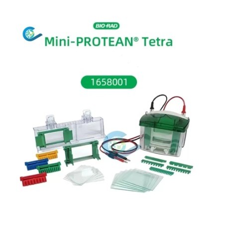 Jual Bio-Rad Mini-PROTEAN Tetra Cell#1658001 Western Blot Instrument ...