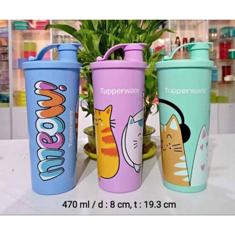 Jual CAT TUMBLER FLIP ECER (1) TUPPERWARE/ Tumbler 470ml | Shopee Indonesia