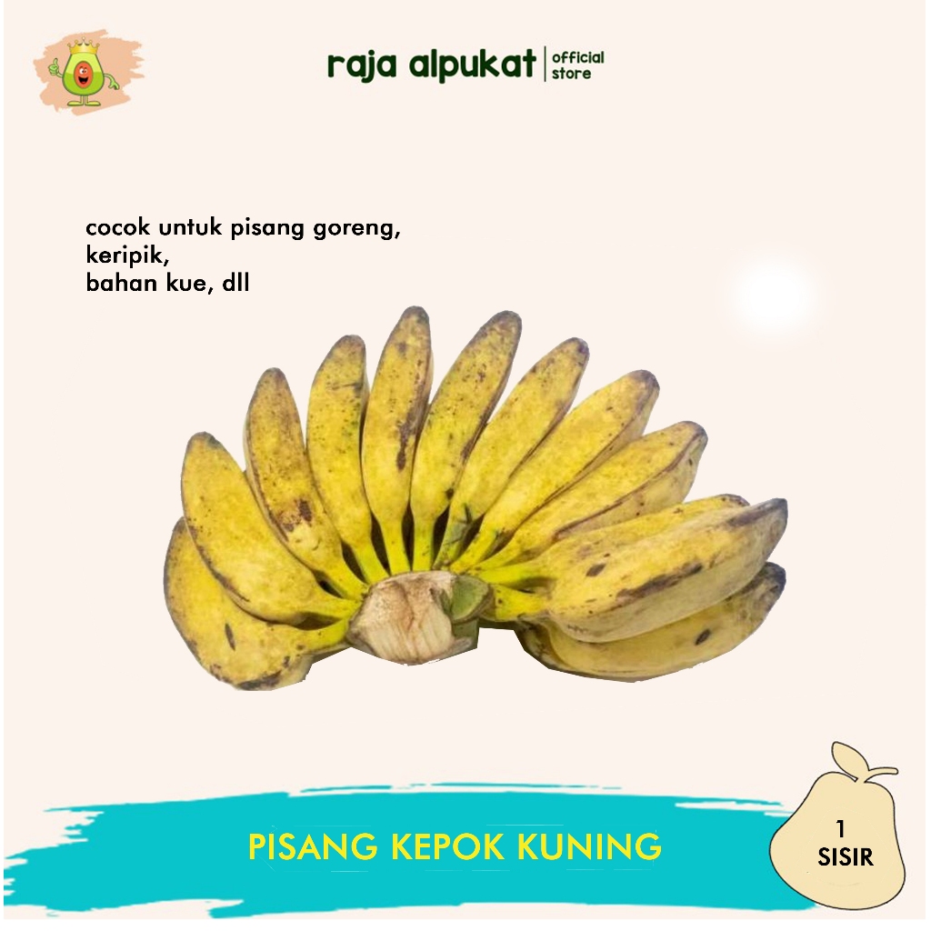 Jual Pisang Kepok Kuning I Pipit cocok untuk pisang goreng dll | Shopee ...