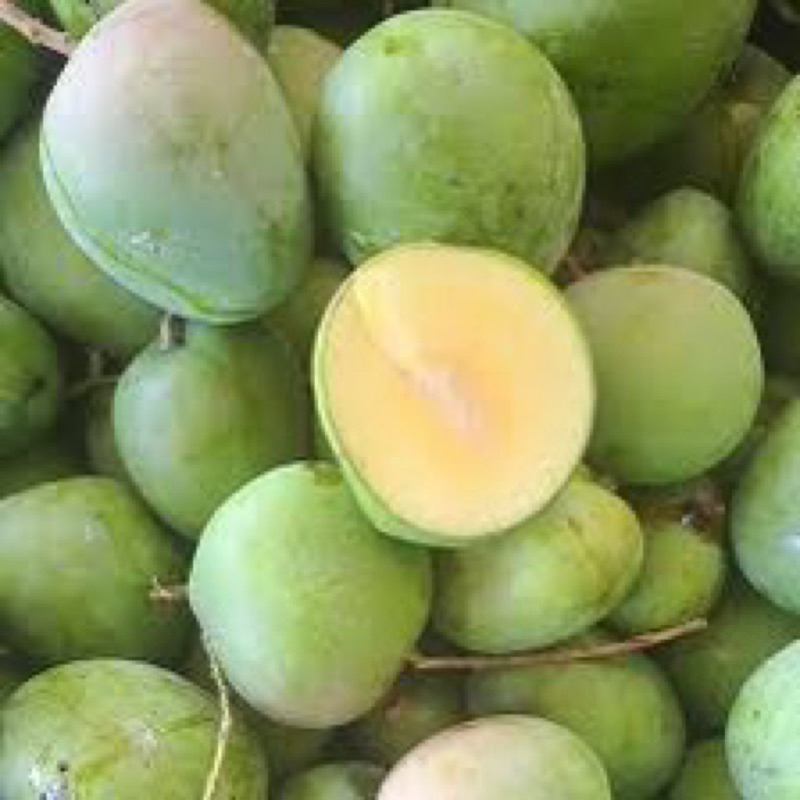 Jual mangga apel mentah 1 kg pas untuk rujak rasa asam free sambal ...