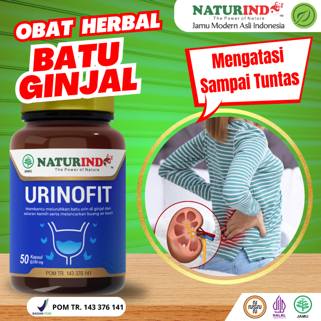 Jual Obat Herbal herbal batu ginjal penghancur batu ginjal sering ... Jual Obat Herbal herbal batu ginjal penghancur batu ginjal sering ...