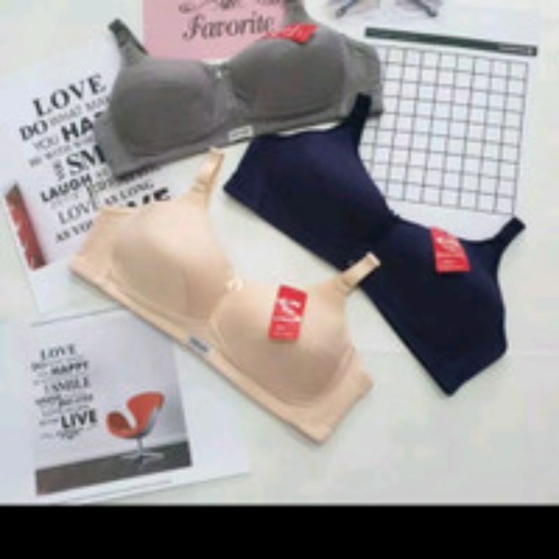 Jual BRA GOLDEN NICK 395 TANPA BUSA TANPA KAWAT//BH FULL KAOS KATUN//BH ...