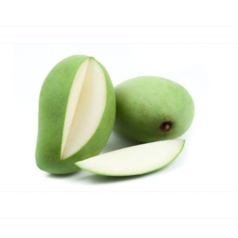 Jual Mangga muda 1 kg mangga rujak asem | Shopee Indonesia