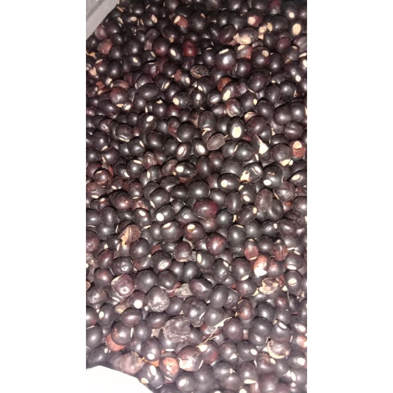 Jual KACANG GUDE, KACANG HITAM UNDIS KERING | Shopee Indonesia