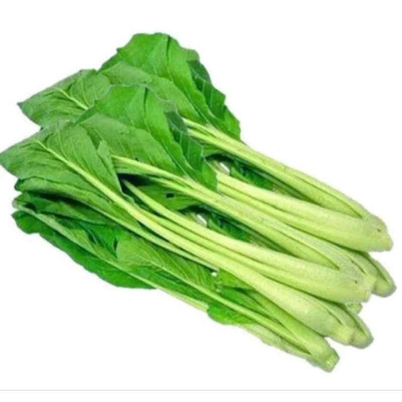 Jual Sayur Sawi / Caisim (per ikat) | Shopee Indonesia