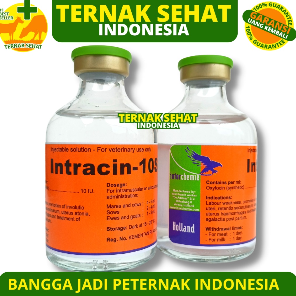 Jual KODE N83P INTRACIN 1S 5ml Hormon Perangsang Kontraksi Uterus Dan ...