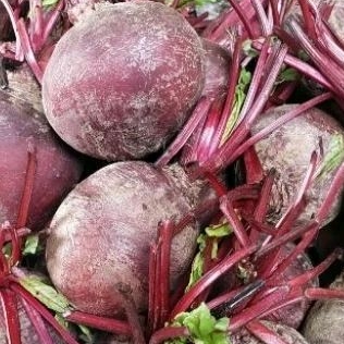 Jual BUAH BIT | Shopee Indonesia