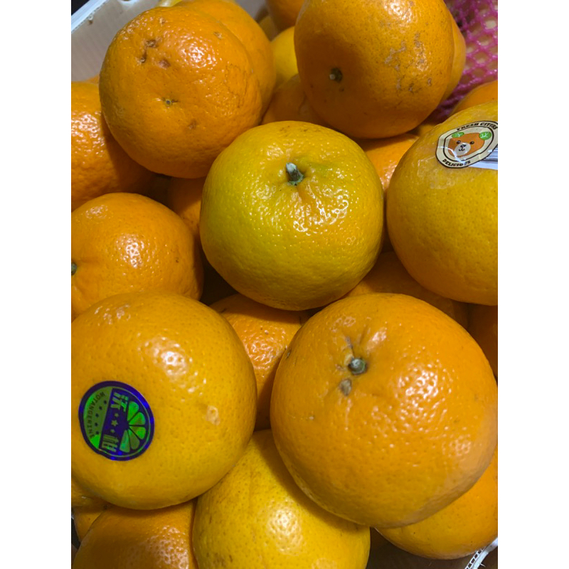 Jual Jeruk Wogan Mandarin / Jeruk Wogan | Shopee Indonesia