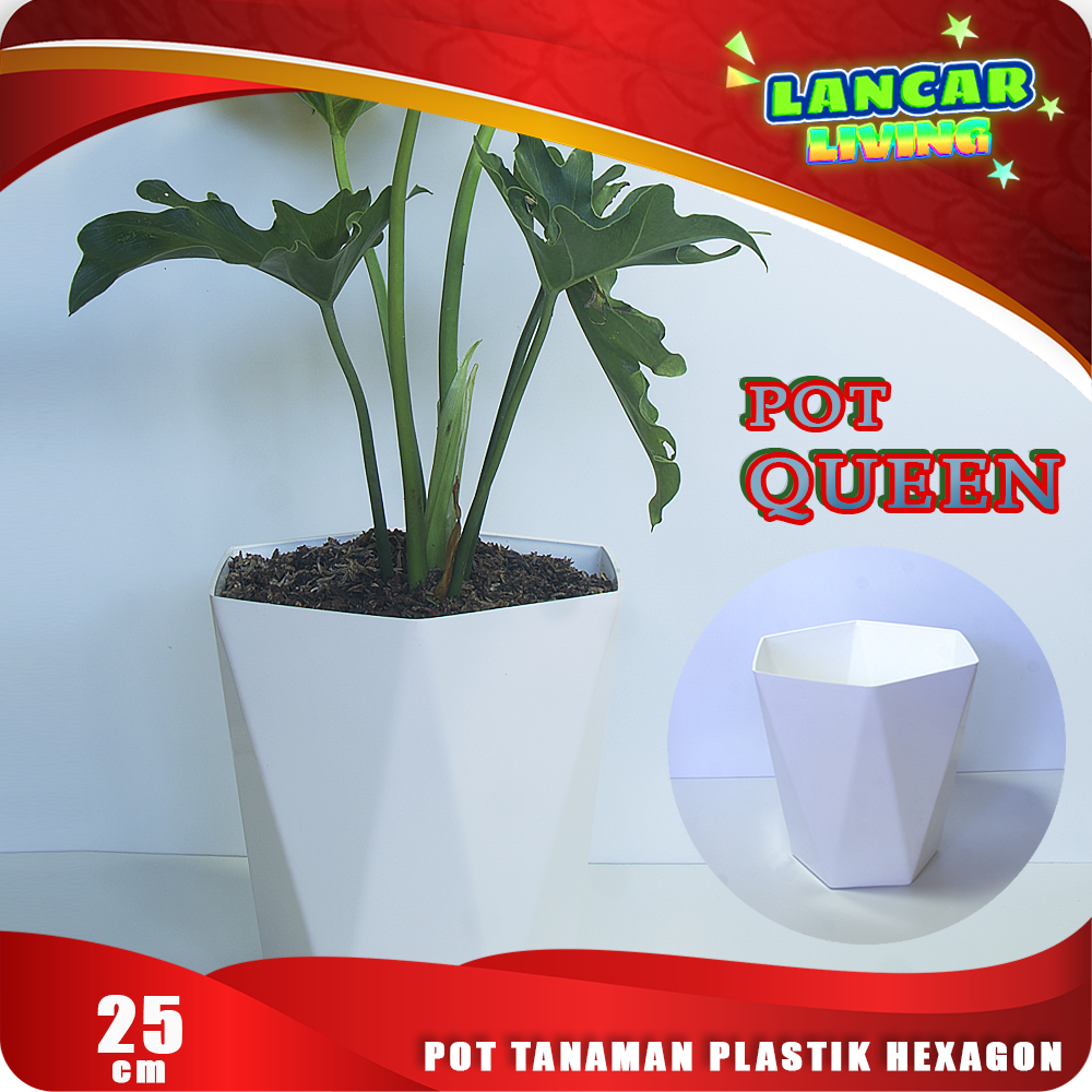 Jual 6 Pcs Pot Tanaman Hexagon Pot Queen/Pot Bunga Plastik Hexagon Unik ...