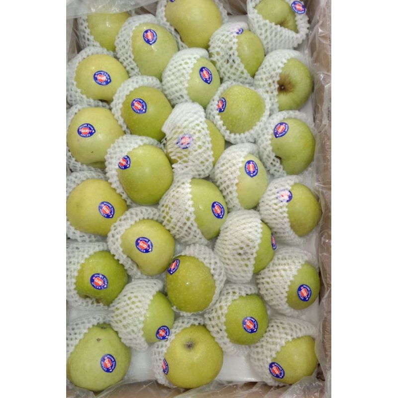 Jual Apel Hijau RRC | Shopee Indonesia