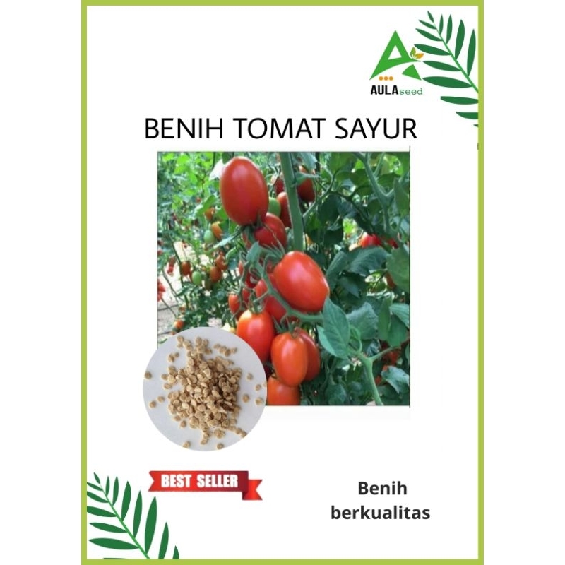 Jual benih biji tomat sayur 200 butir | Shopee Indonesia