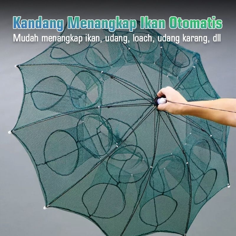Jual JARING PAYUNG BUBU JEBAKAN PERANGKAP IKAN UDANG IKAN KEPITING MODEL LUBANG 8 | Shopee Indonesia