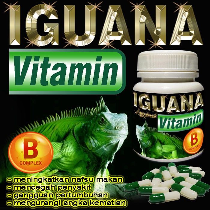 Jual IGUANA VITAMIN KAPSUL OBAT MENINGKATKAN IMUNITAS IGUANNA BATU ...