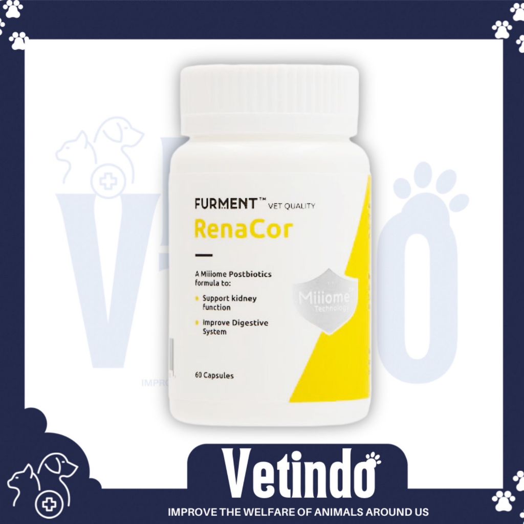 Jual RENACOR suplement pengganti AZODYL per botol (60tabs) | Shopee ...