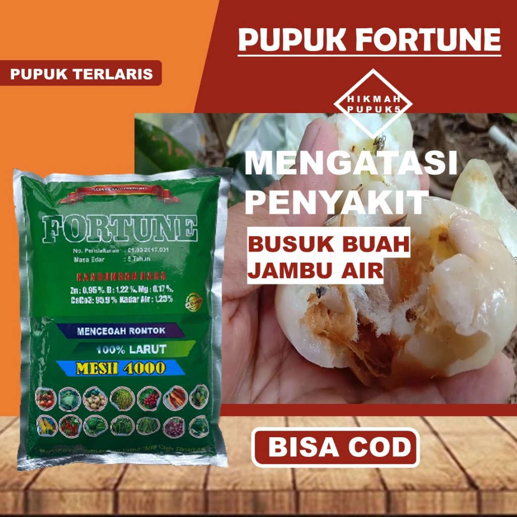 Jual Pupuk Cegah Buah Jambu Air Tetap Busuk Berulat, Pupuk Jambu Air ...