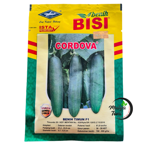 Jual Benih timun cordova bisi cap kapal terbang 20 Gram | Shopee Indonesia