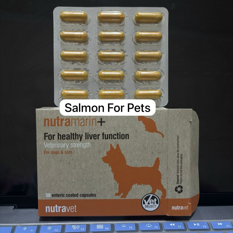 Jual Nutramarin + (harga 1 capsul) Vitamin Hati hepar Anjing Kucing ...