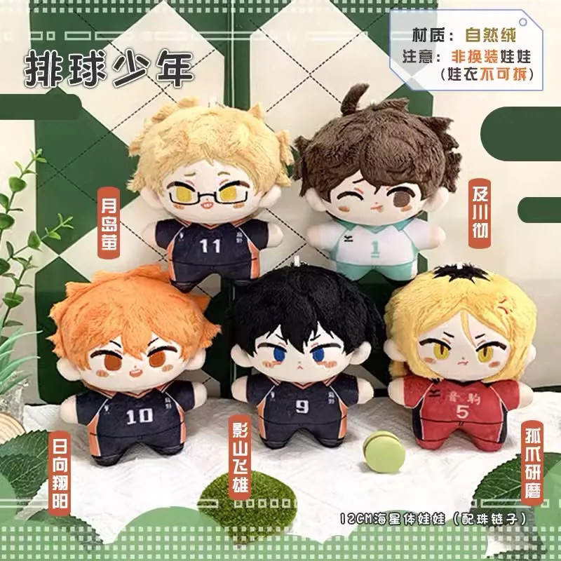 Jual READY Mini Doll 10cm Full Body Karakter Shoyo Tobio Nishinoya ...